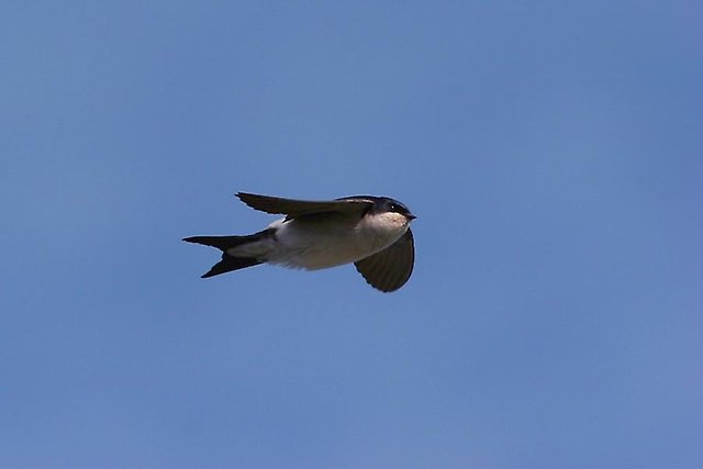 Åkerlandskapet - Jordbruksverket.se