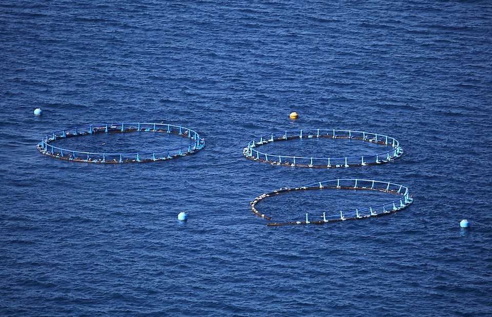 Vattenbruk - en möjlighet för dig att utveckla ditt företag ...